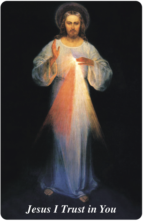 The Divine Mercy Chaplet Wallet-Size Prayer Card - Vilnius - Divine ...