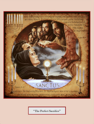 The Perfect Sacrifice (Tommy Canning) - Divine Mercy Publications Pty. Ltd.