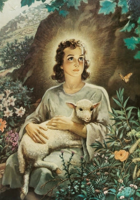 Young Christ with Lamb - Divine Mercy Publications Pty. Ltd.